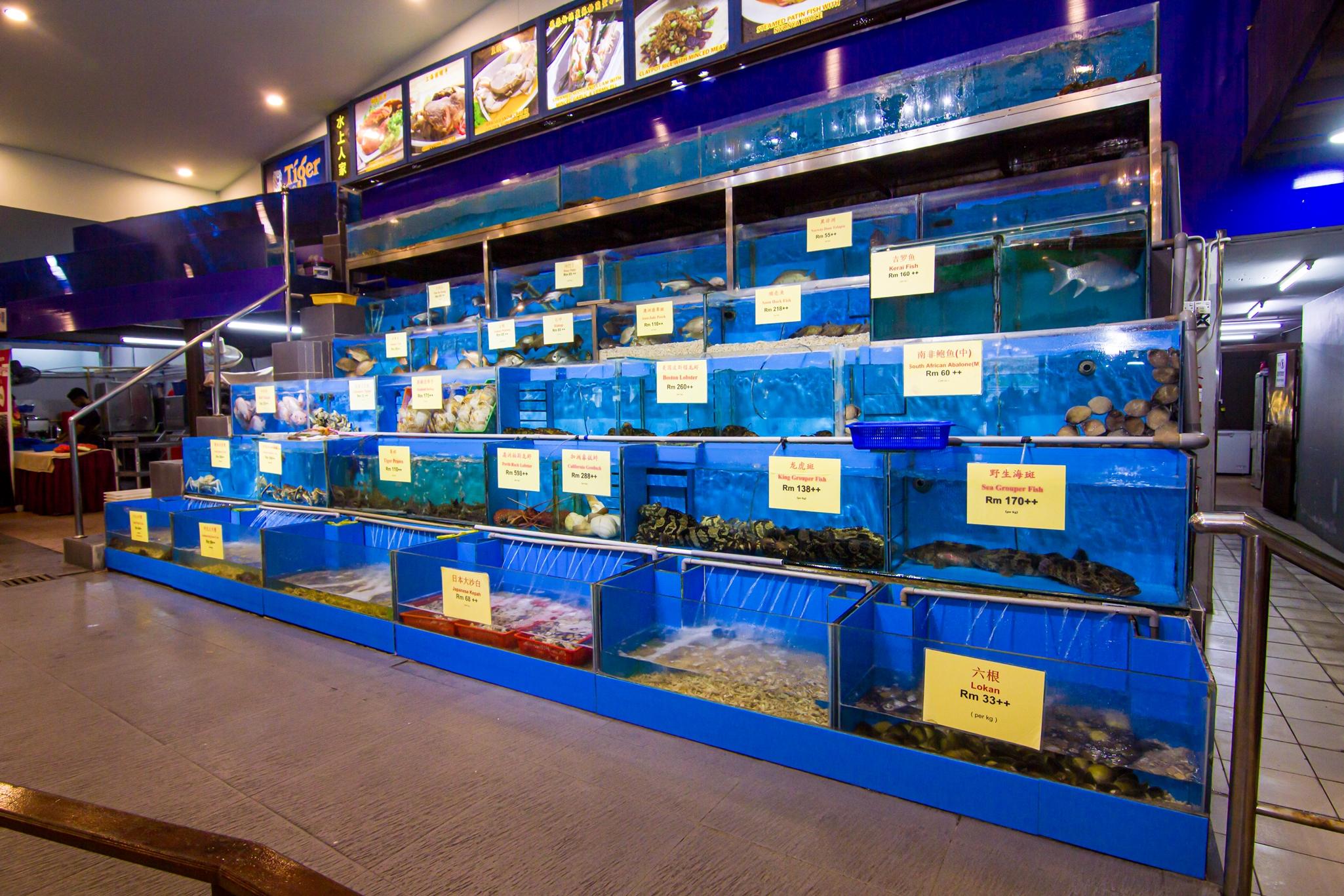 Gallery - Unique Seafood Group of Restaurants | 奇怪海鲜集团